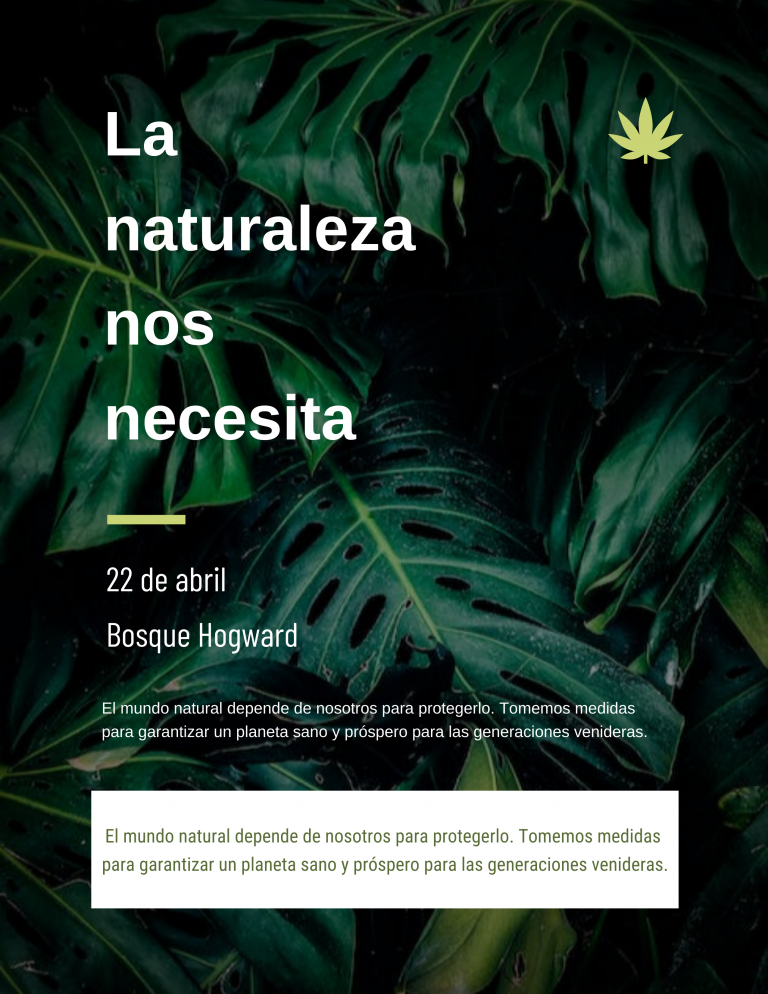 7 paletas de colores en tendencia para diseño gráfico en 2025 ...